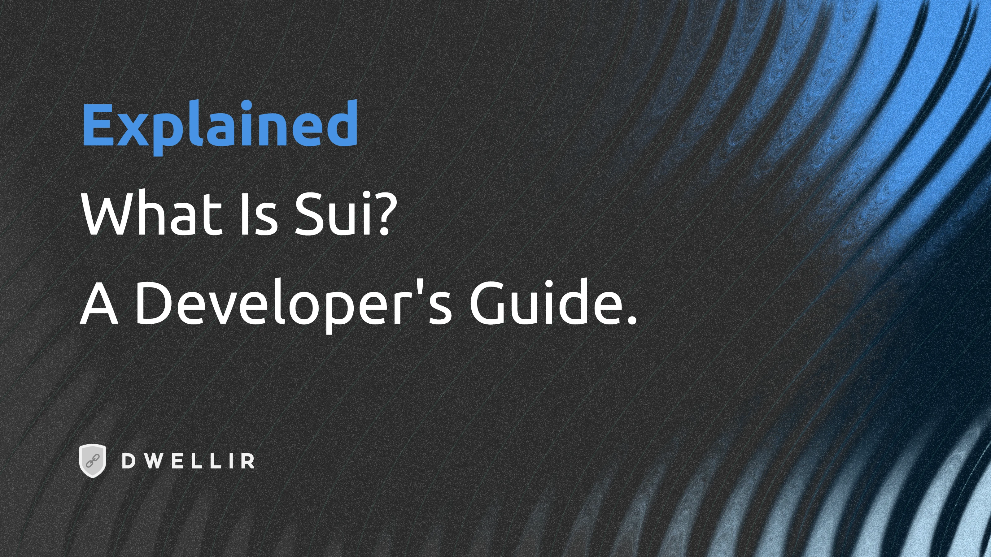 What Is Sui? A Developer's Guide | Dwellir Blog
